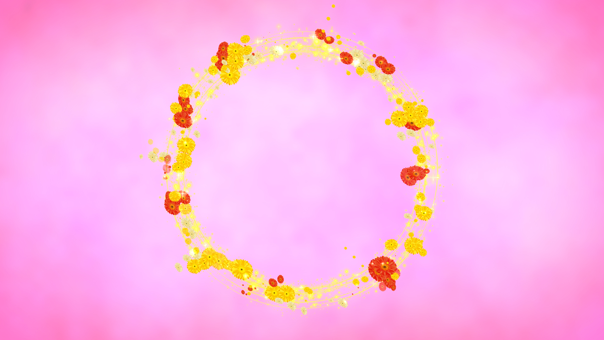 ダウンロード動画素材｜草花【光る黄色いガーベラ リース】 映像